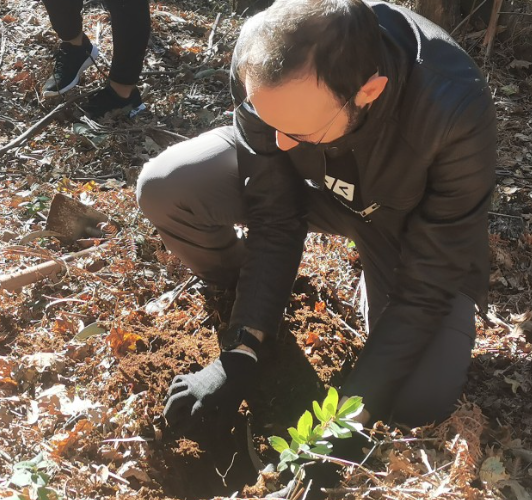 Blog | Blip – The Missing Piece