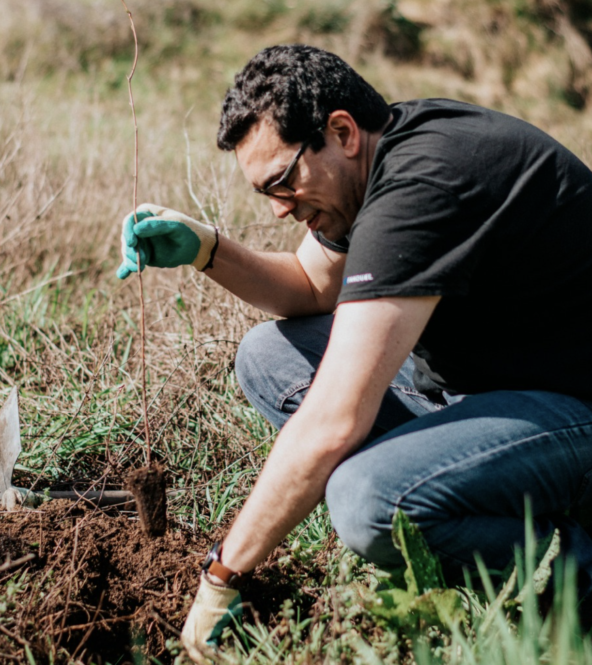 Blog | Blip – The Missing Piece