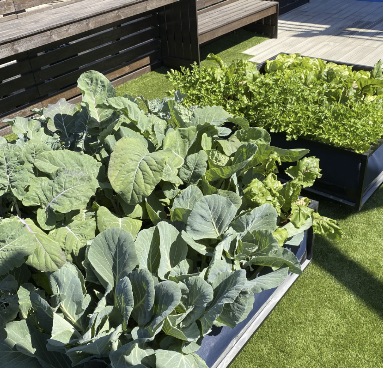 Inner Source Implementation in Flutter Tech | Blip – The Missing Piece